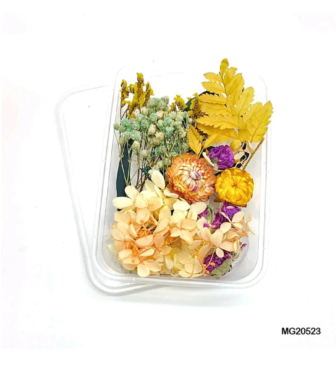 Dry Flower Box Mg20523 – Inkarto