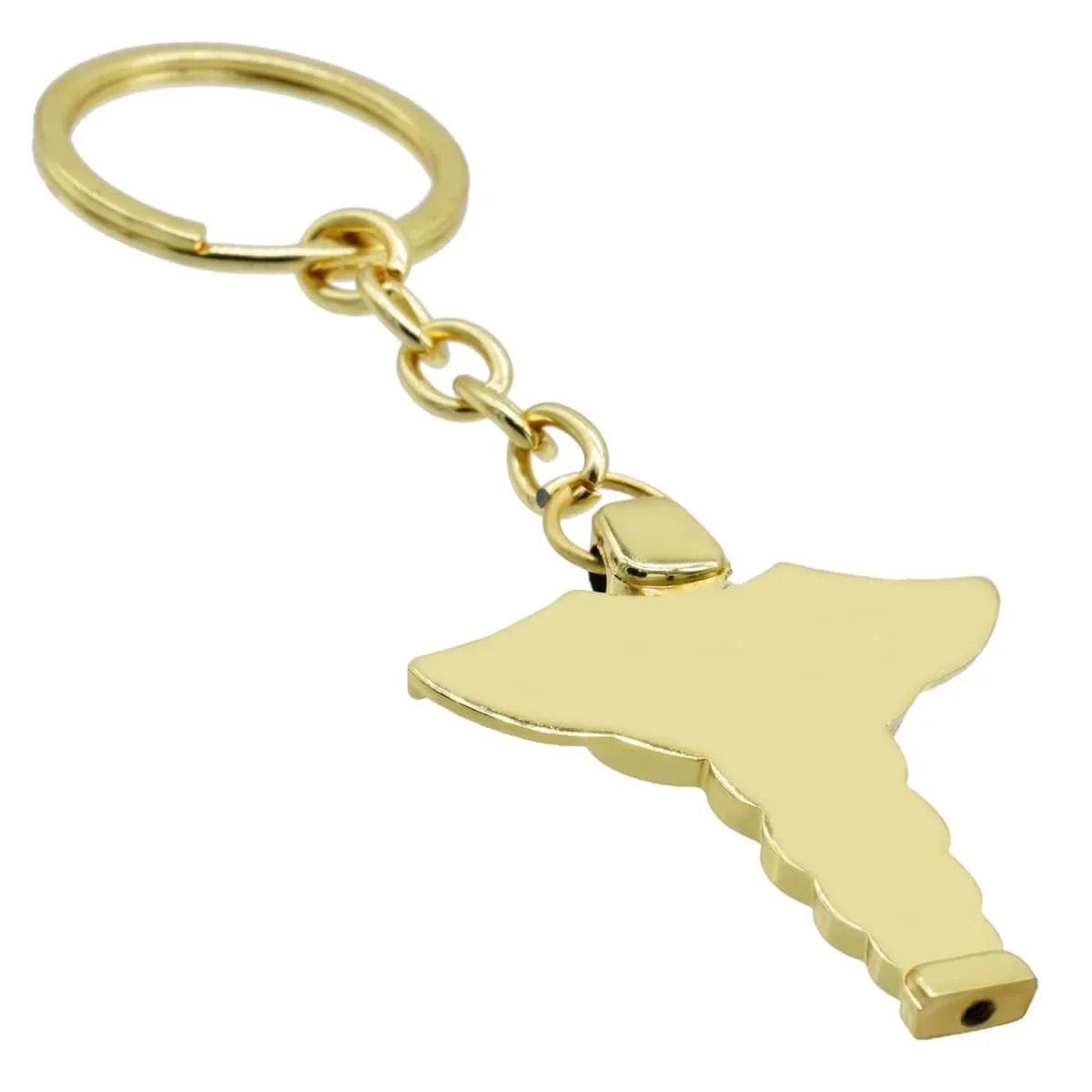 Key Chain Dr Logo Gold Colour – Inkarto