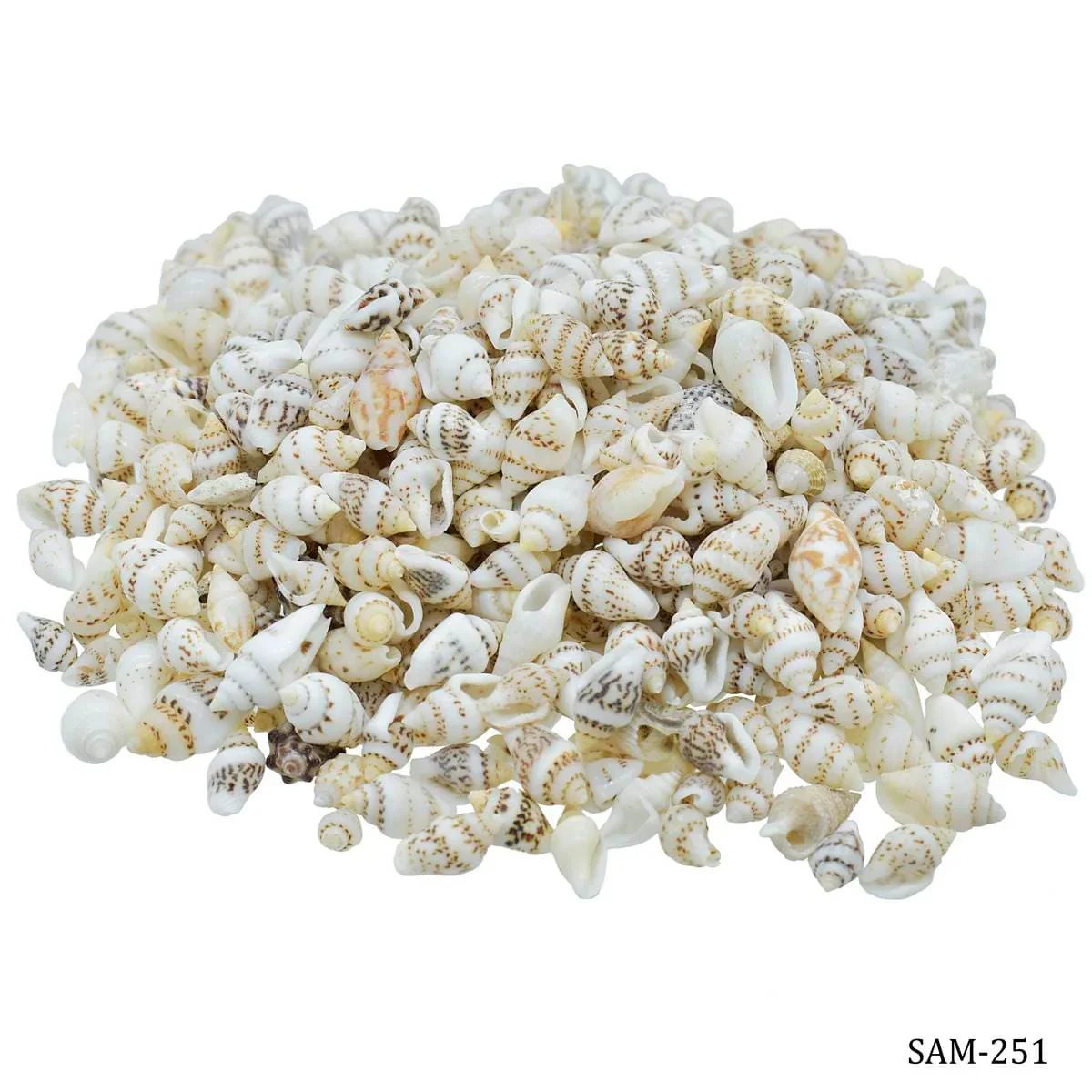 Shells Sangv Mani 100gm – Inkarto